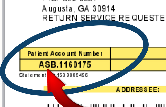 Payment Portals - PMI